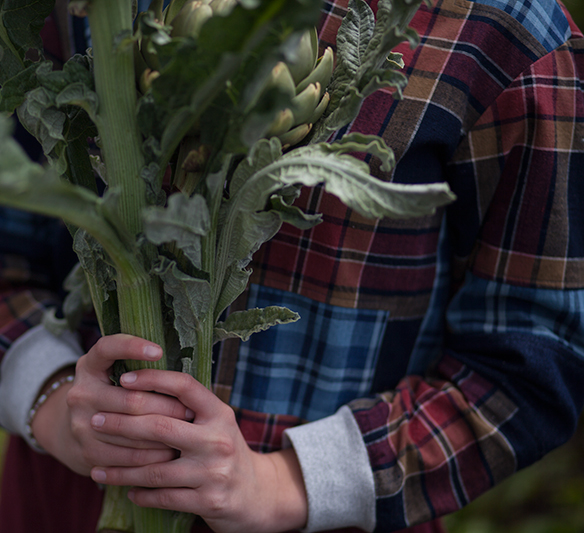 The Storied History of Japanese Boro - Good Sport Australia